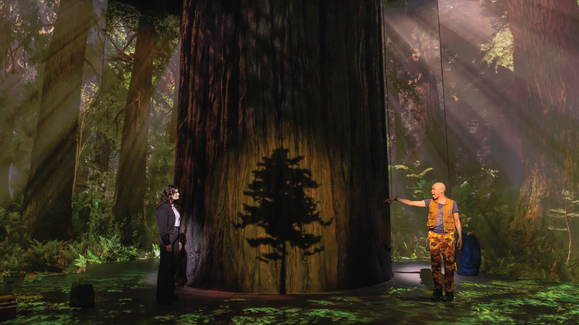 Custom Scenic Design Solutions for Stages | PRG
